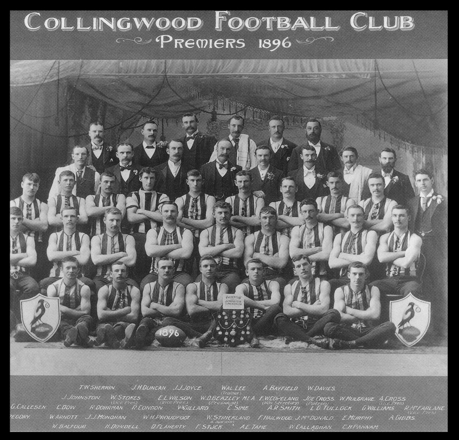 Collingwood FC - Team Photos